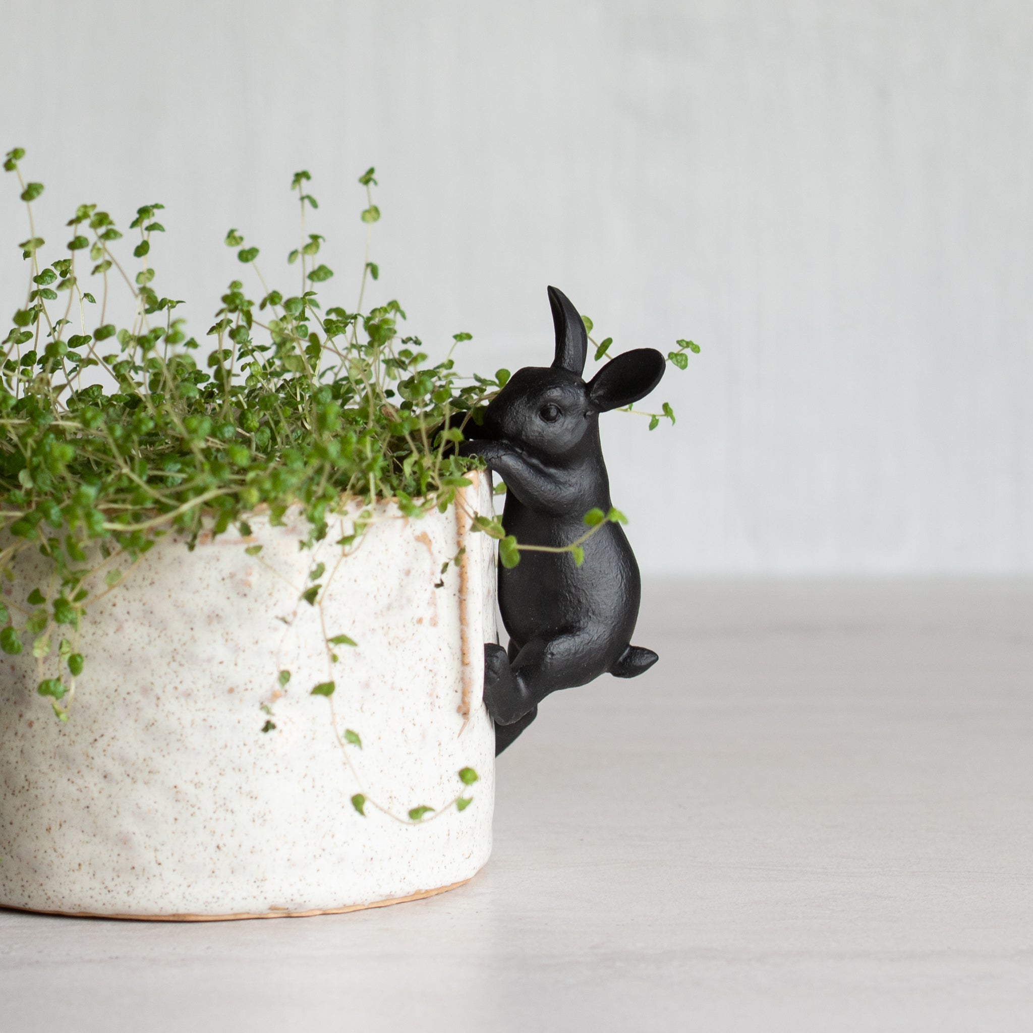Little Climbing Bunny | Folklore NZ – Folklore Store