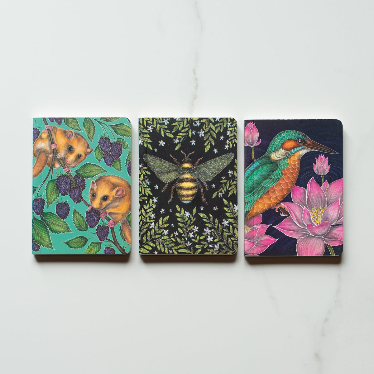 Mini Notebook Set | Catherine Rowe | Animals