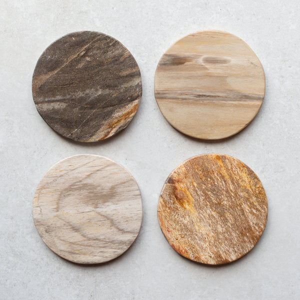 Petrified Wood Coaster | Set of 4 – Folklore Store
