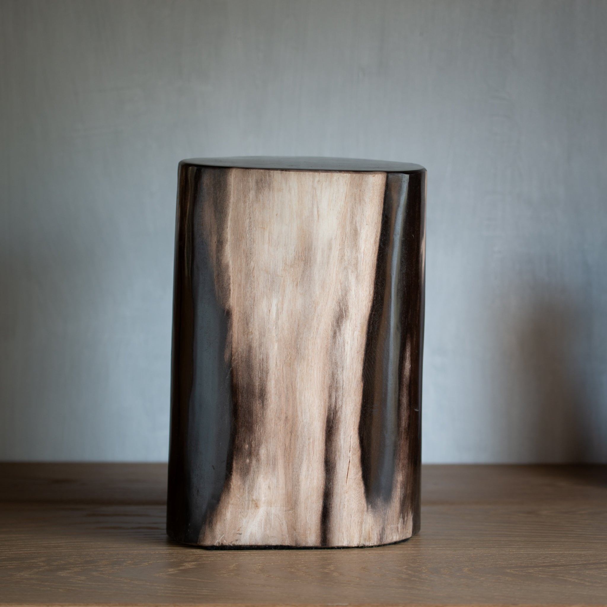 Petrified Wood Plinth | Example 'A'