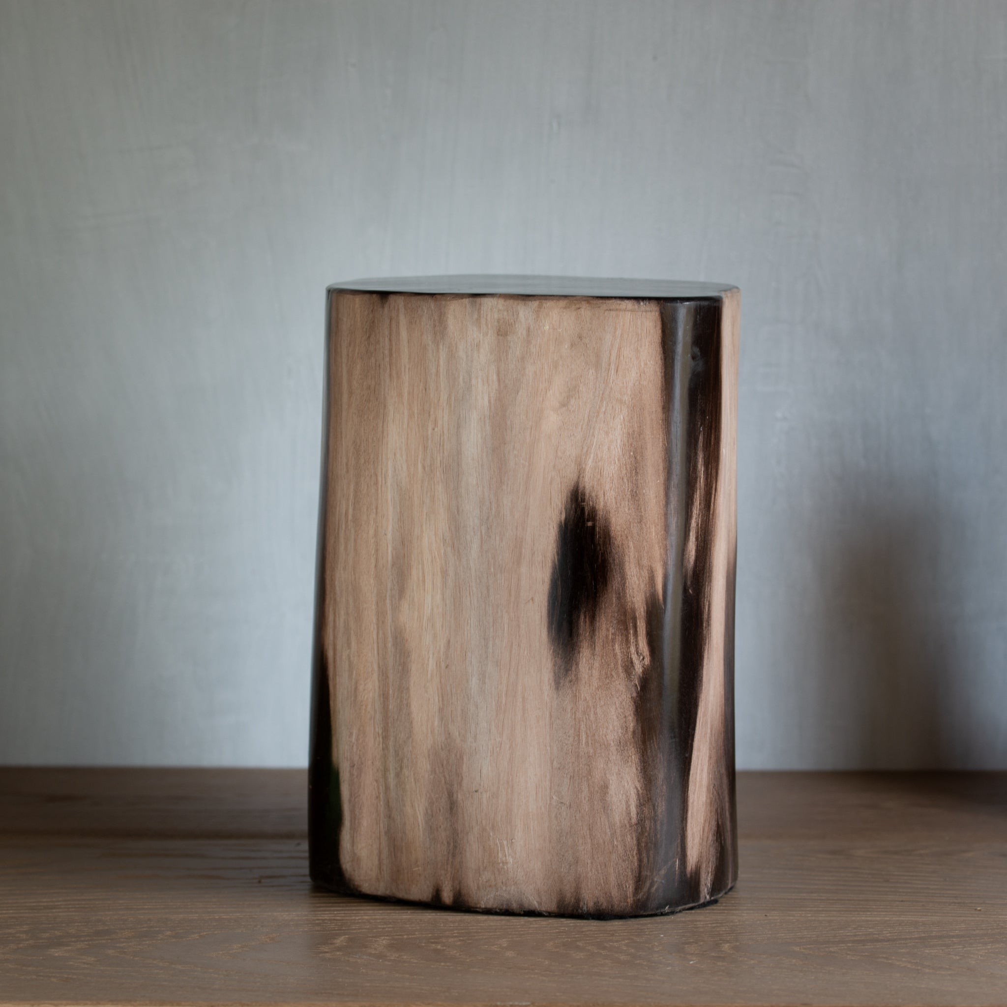 Petrified Wood Plinth | Example 'F'