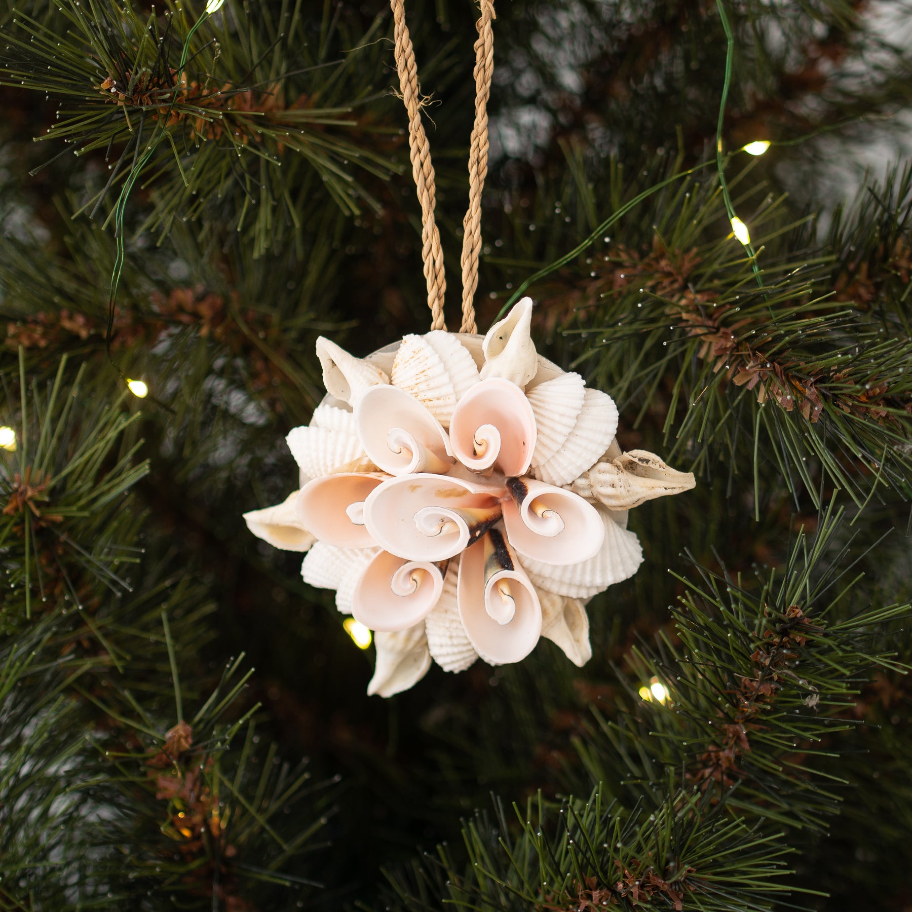 Folklore Shell Decoration | Design A | Shell Ornaments NZ