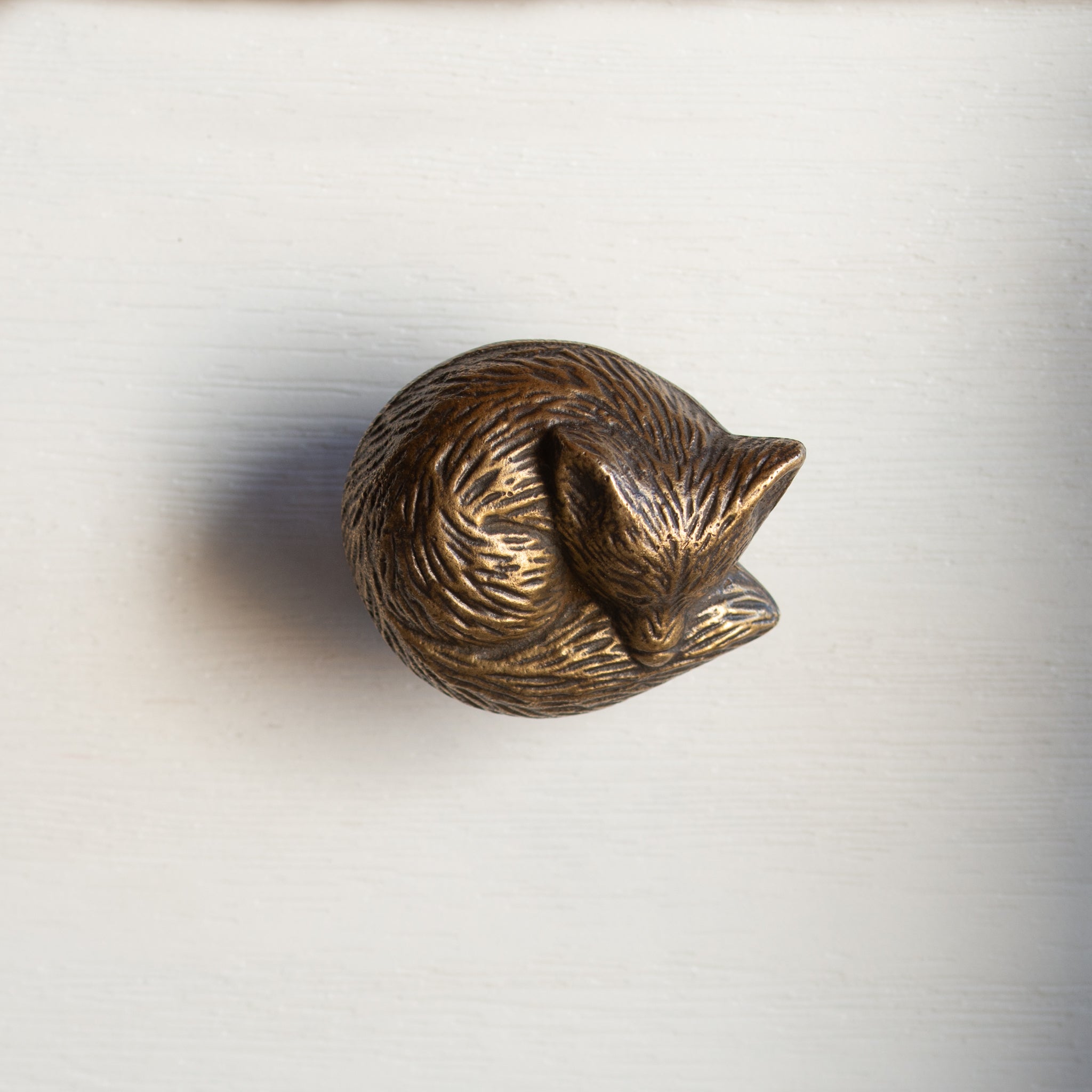 Brass Drawer Knob NZ | Scallop Shell | Folklore Brass Hardware
