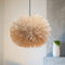 Spiky Urchin Rattan Light Shade NZ | Folklore Lighting
