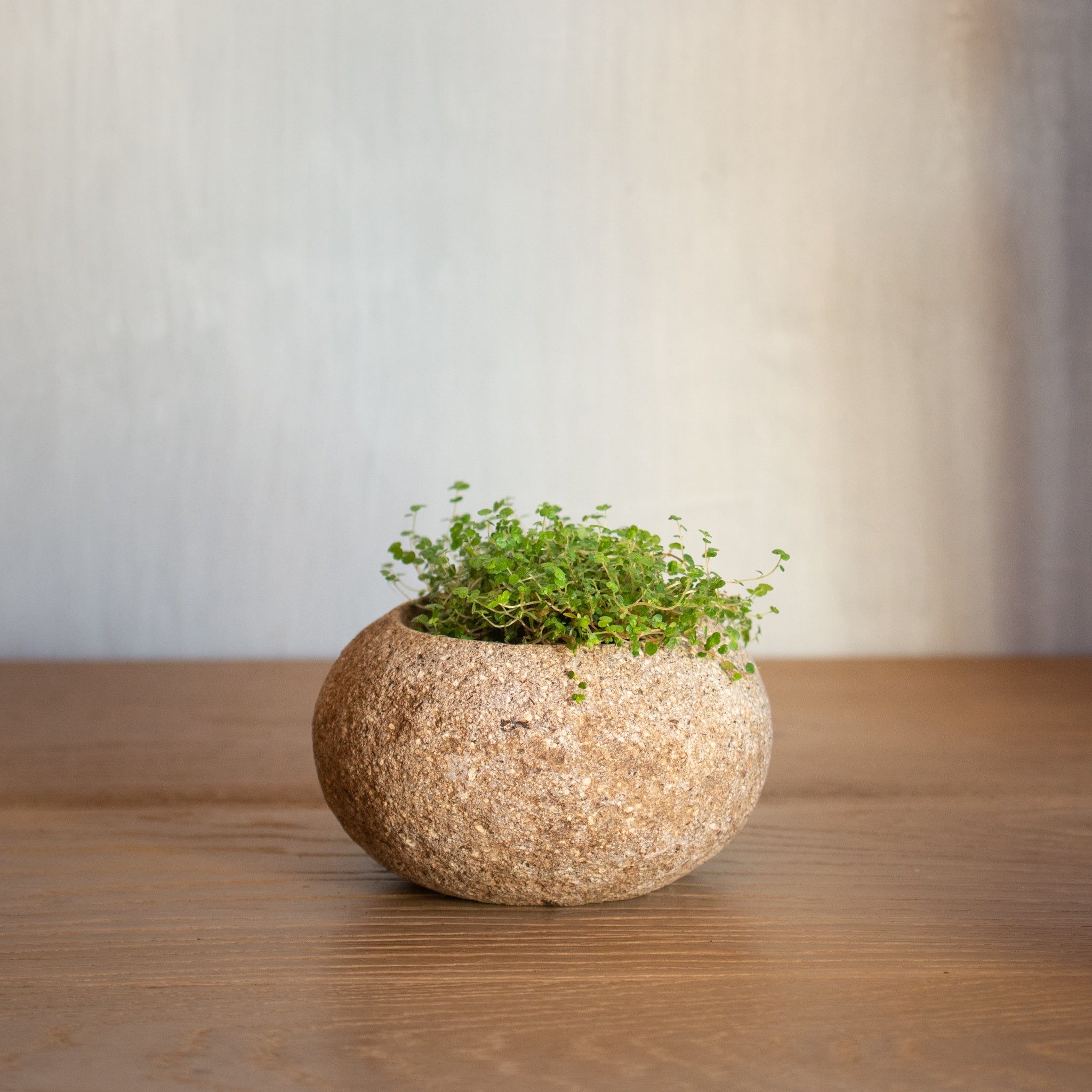 Stone Planter Pot - Hollow Rock Planter | Folklore Home Store NZ