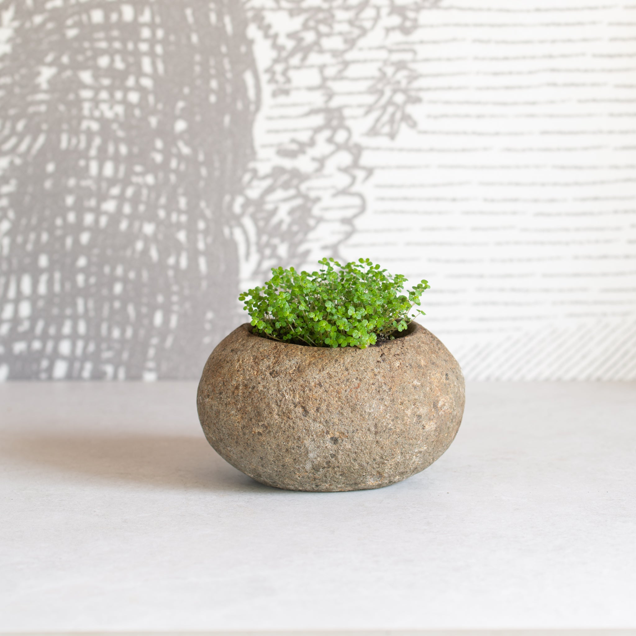 Stone Planter Pot - Hollow Rock Planter | Folklore Home Store NZ