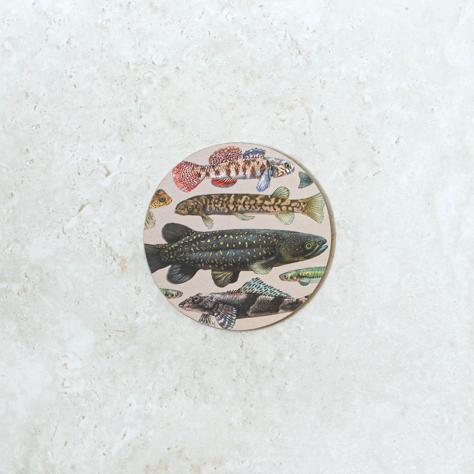 NZ Freshwater Fish Coaster | Folklore Home NZ