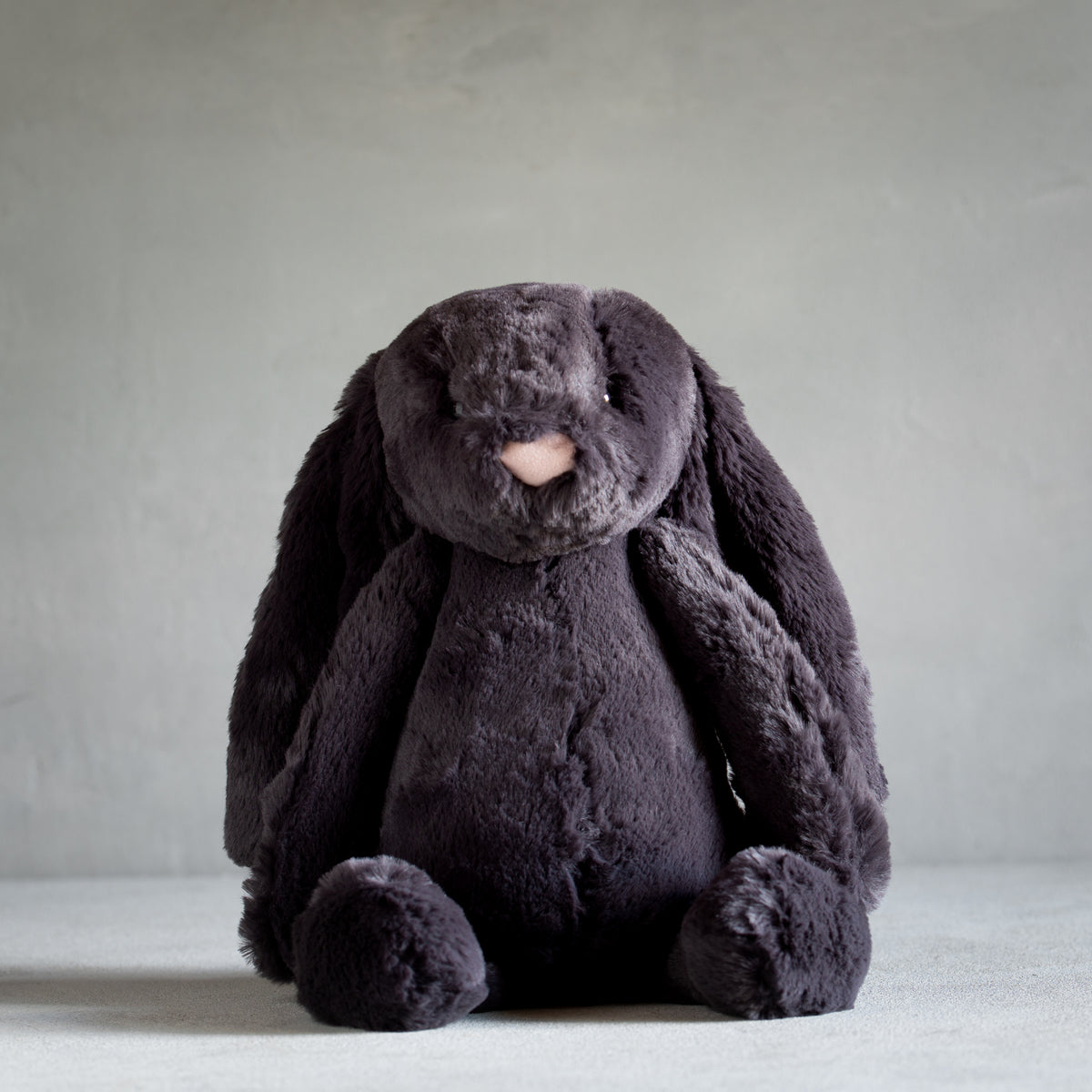 Soft Toys NZ | Bashful Inky Bunny